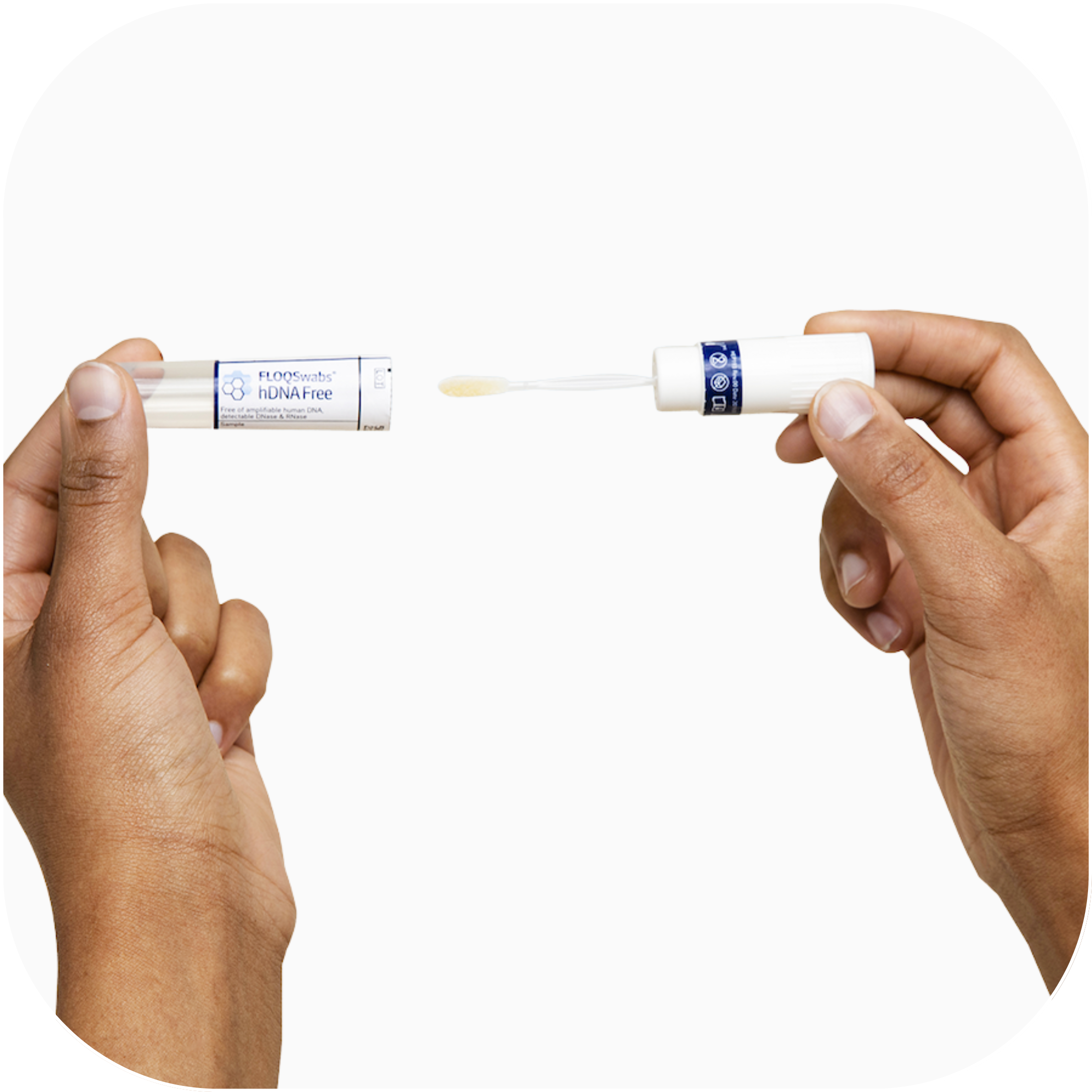 Kids Gut Health Testing: What a Poop Test Can Reveal | Begin Health ...